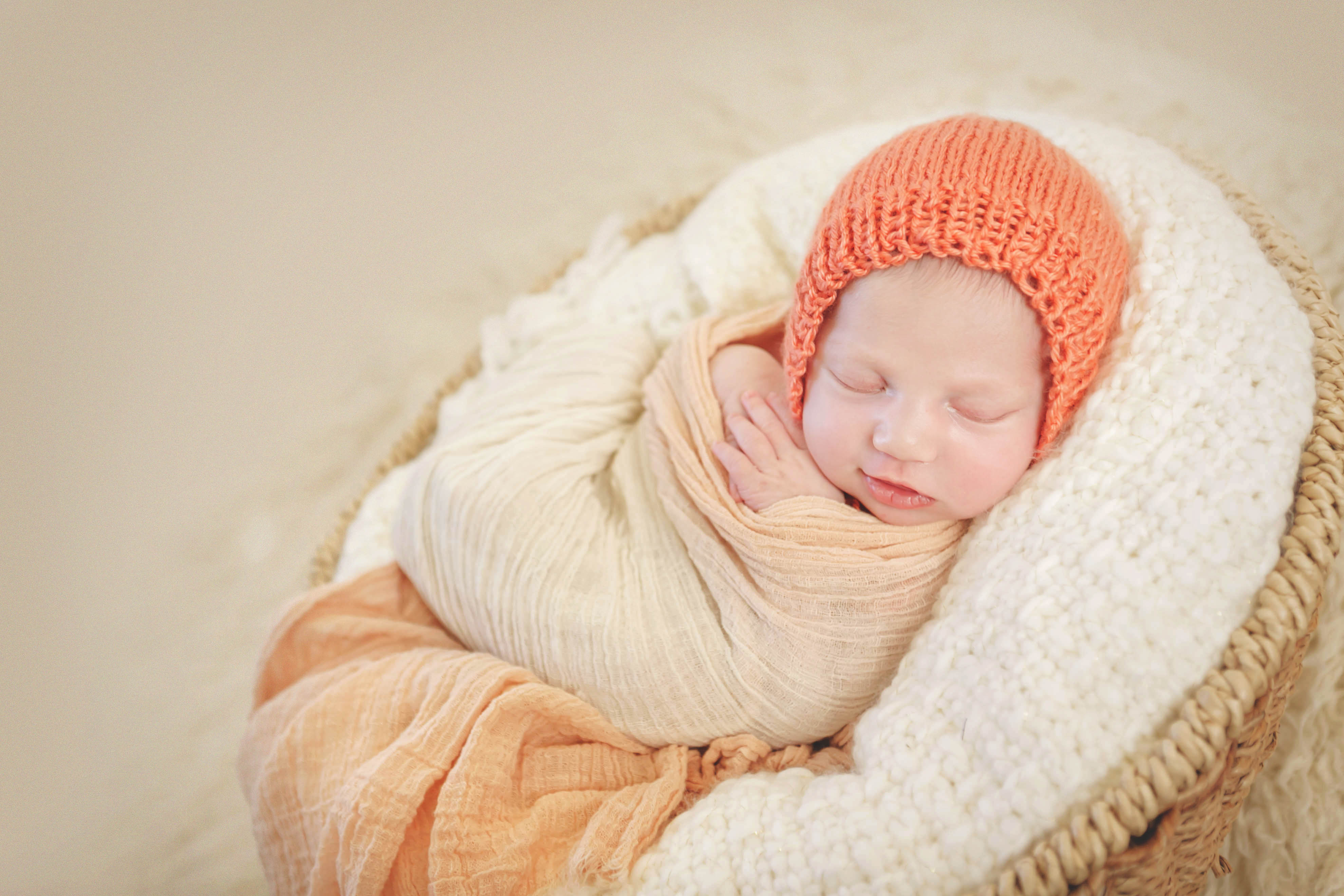 New Arrivals ‹ Plymouth Magazine